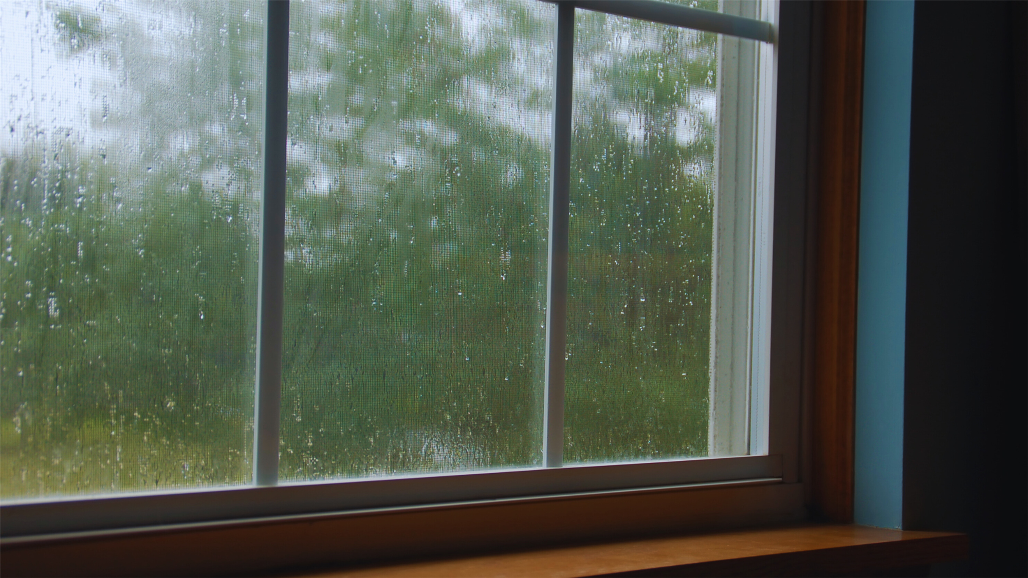 Window Installation in Extreme Climates: Your Ultimate Guide | High ...